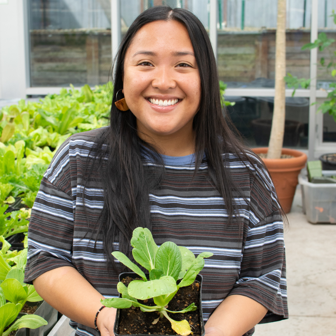 Small Greens, Big Benefits - TheStop.org