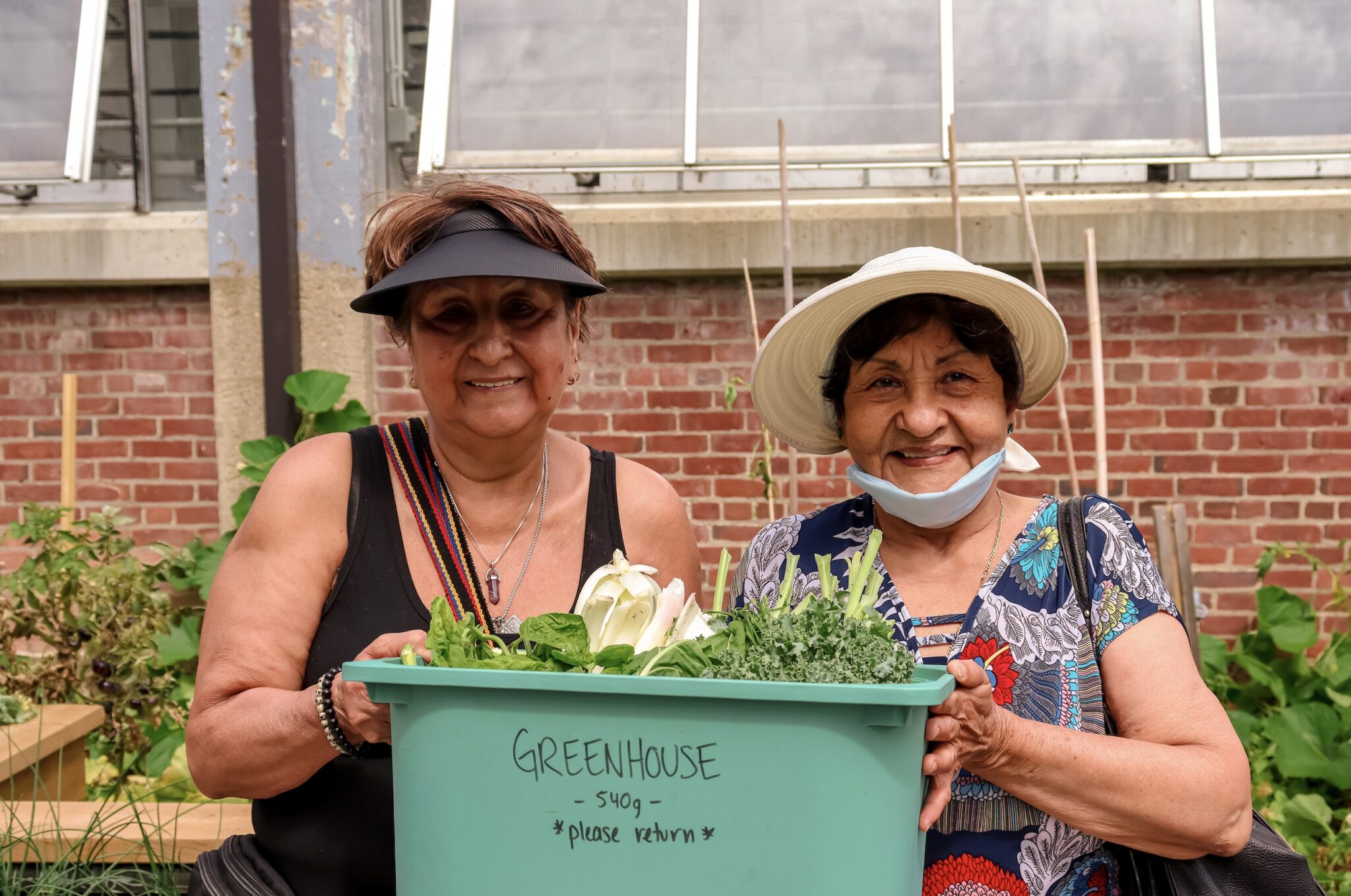 A different way to experience our Global Roots Garden - TheStop.org