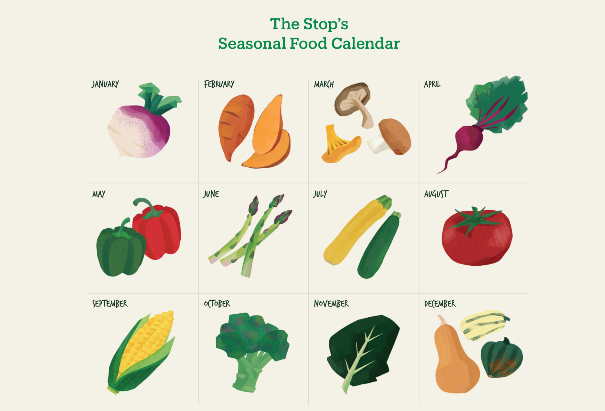 Food of the Month: Turnip and Rutabagas - TheStop.org