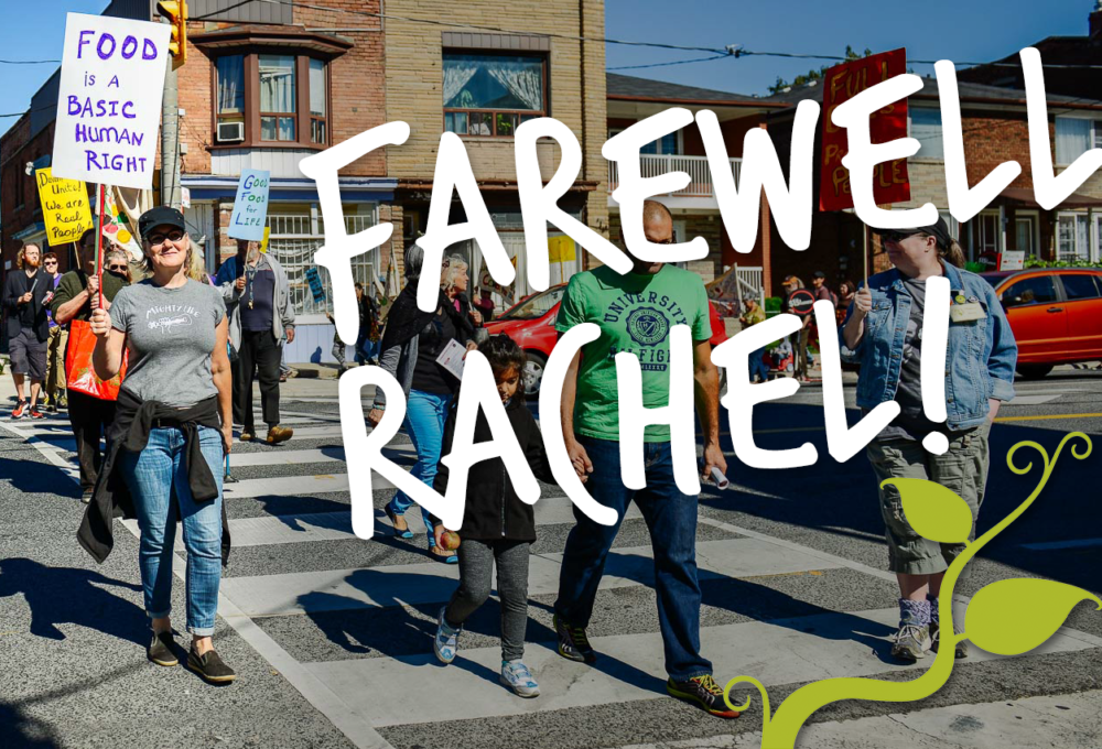 Farewell Rachel! - TheStop.org